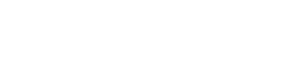 Walt Disney World Resort Digital BrochureDisney Resorts Collection